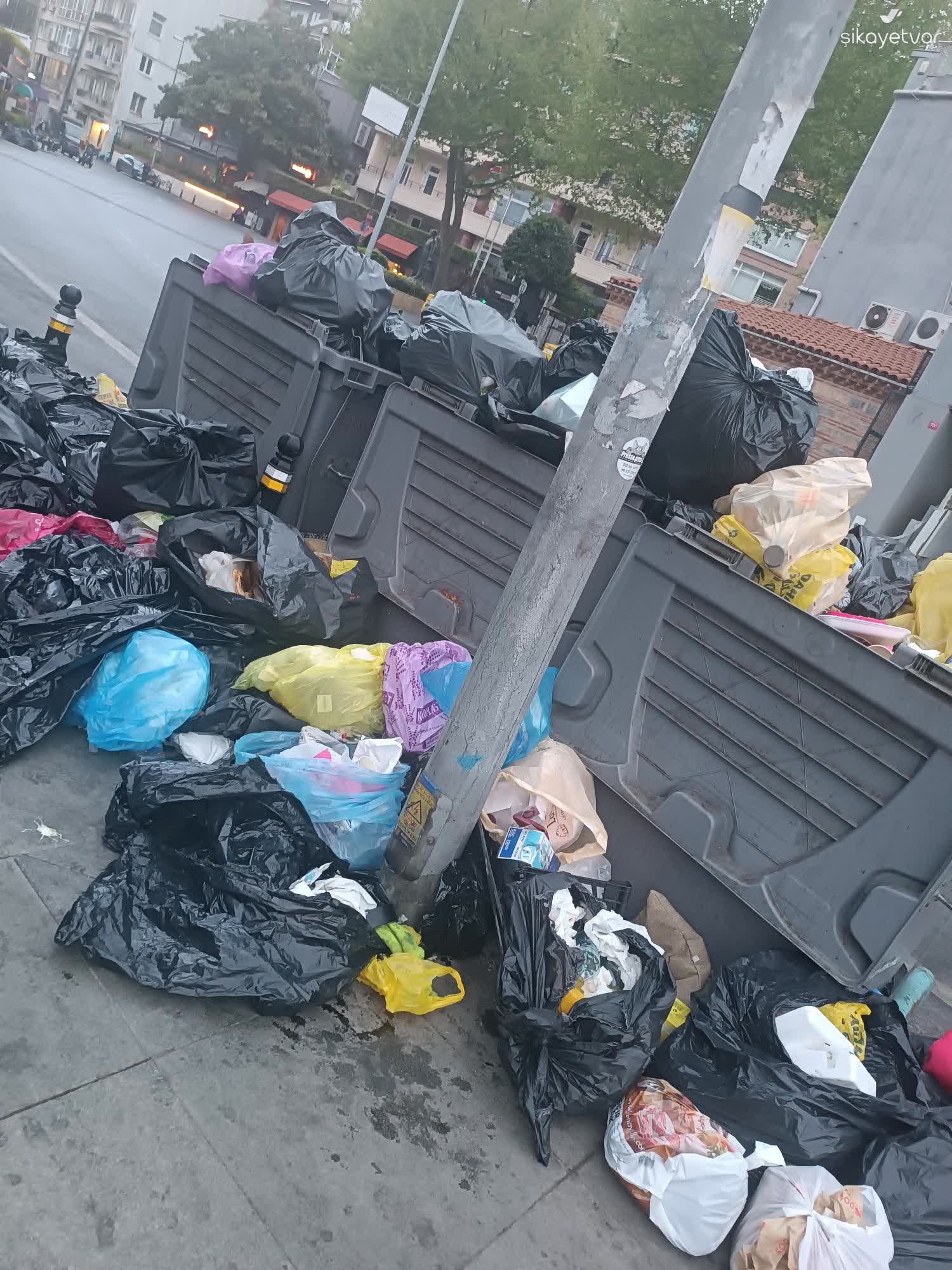 Beşiktaş Belediyesi Resmi Tatillerde Çöp Toplama Hizmeti Eksikliği ...