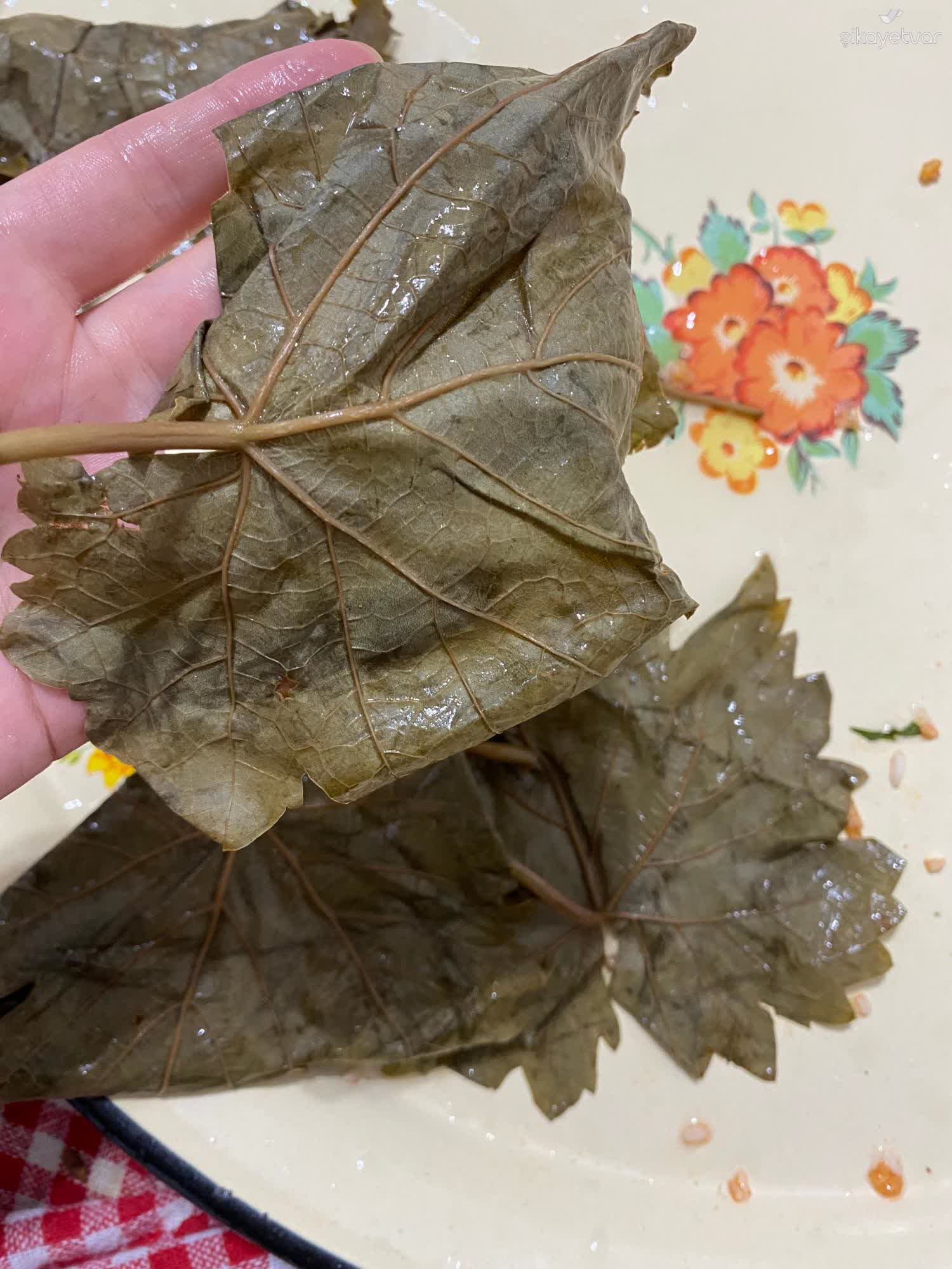 Nurhan'ın Köy Mahsulleri Ürün Kalitesi Ve Kargo Ücreti Hakkında Hayal ...