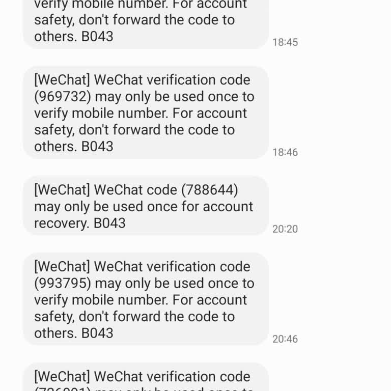 I Can’t Log Into WeChat or Verify My Phone Despite Payment and Multiple Attempts - Xolvie