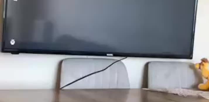 Vestel Televizyonda Uygulama Hatası Bir Yıldır Çözülemiyor - Şikayetvar