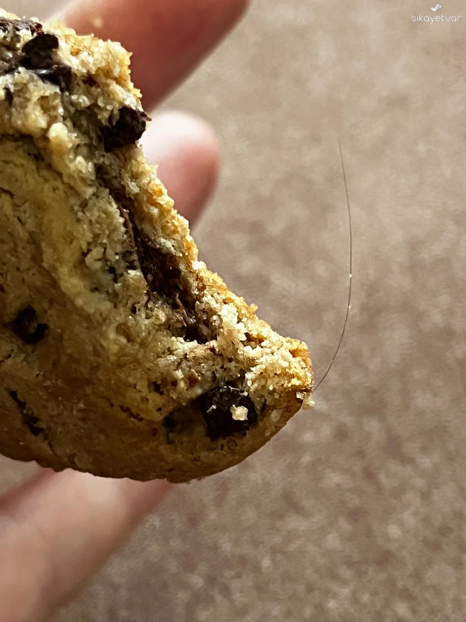 Royal Merba Cookies Ürünün İçinden Yabancı Madde Çıktı - Şikayetvar