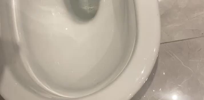 I Replaced My Toilets with Vitra Models—Now Dirty Water Leaks with Every Flush - Xolvie