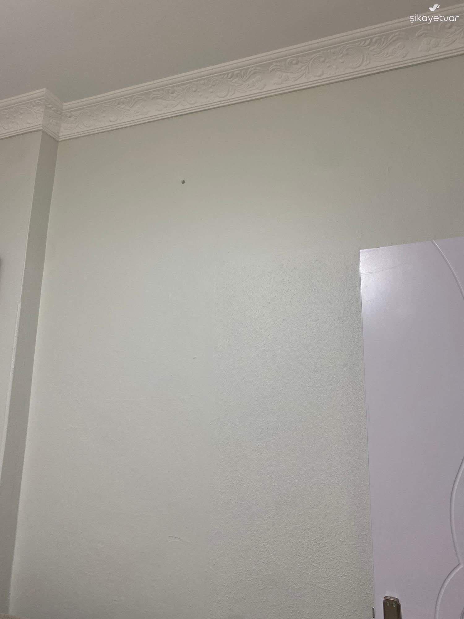 Polisan Yeni Papatya Rengi Karteladakiyle Alakasız, Büyük Hayal ...