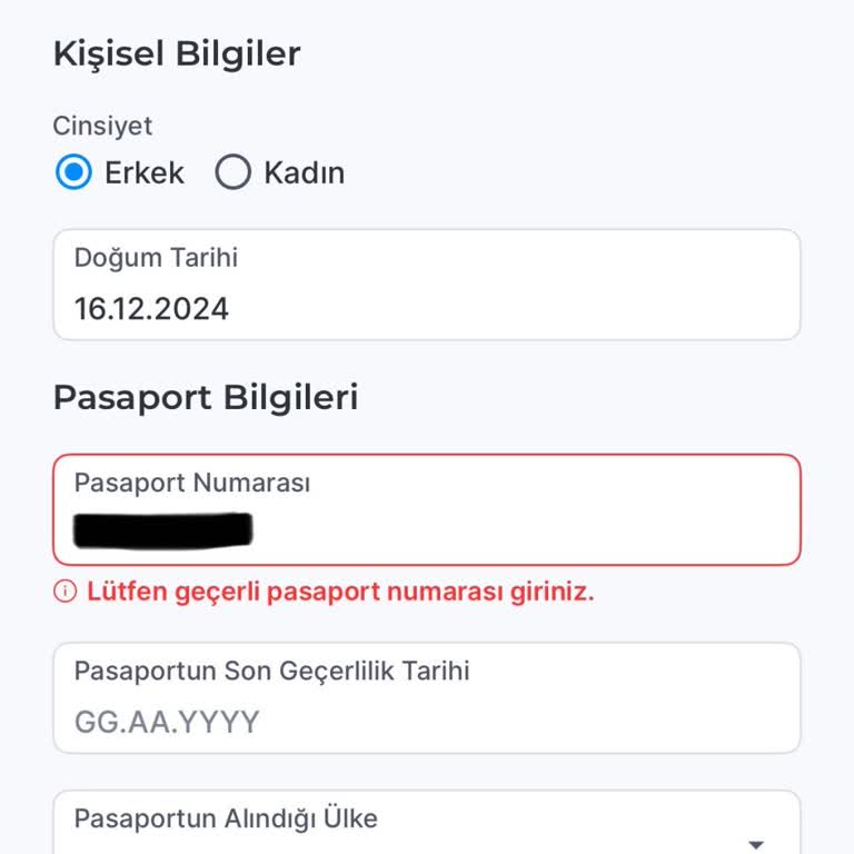 Ajet Check-in Sisteminde Alman Pasaportlu Bebeğimin Bilgileri Kabul ...