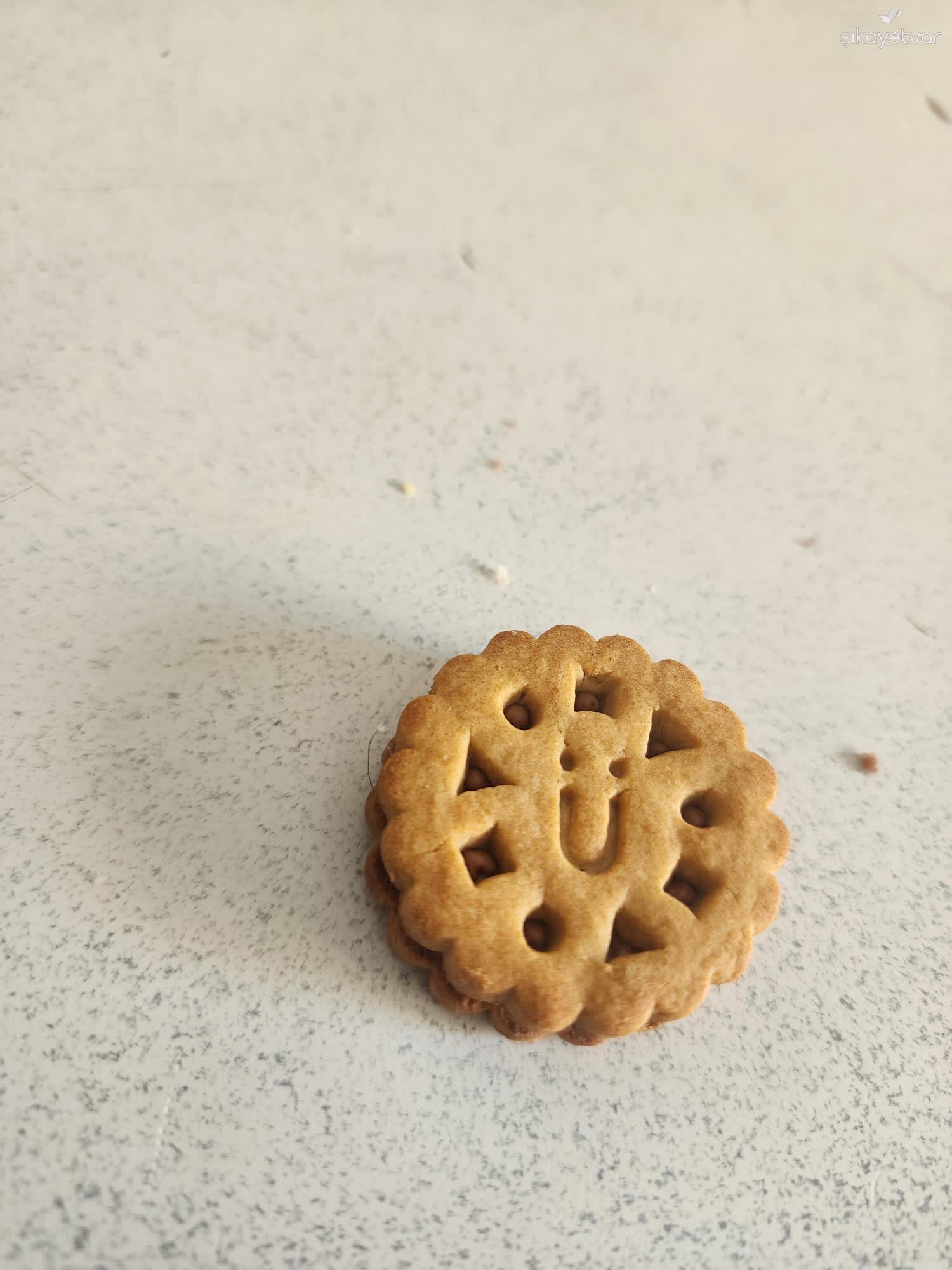 Probis Bisküvisinde Kıl Şoku: Ülker'e Yakışmayan Hata - Şikayetvar