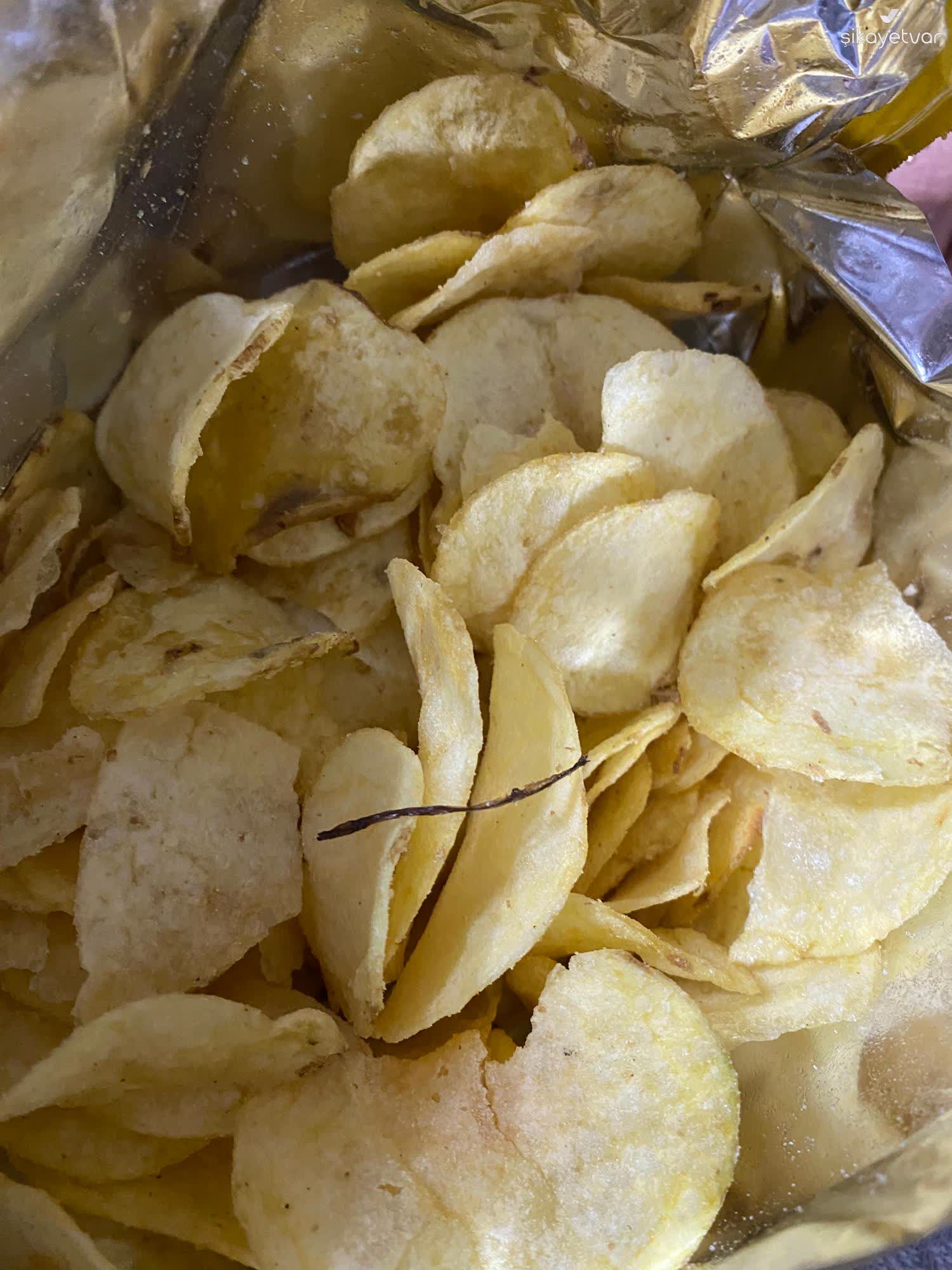 BİM Cips Paketinden Hamam Böceği Bacağı Çıktı! - Şikayetvar