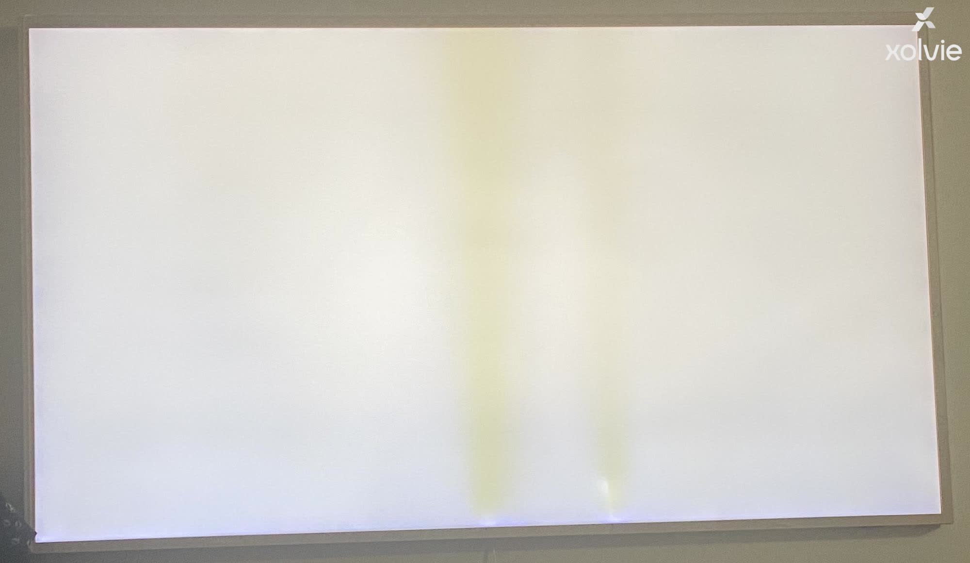 Samsung Frame TV Screen Failure - Xolvie