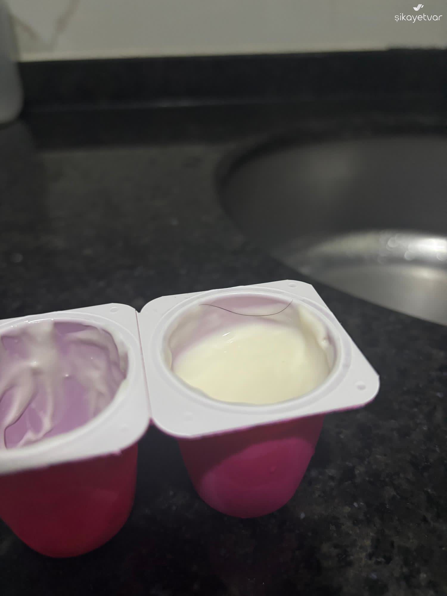 Mis Meyveli Yoğurttan Kıl Çıkmasıyla Hayal Kırıklığı - Şikayetvar