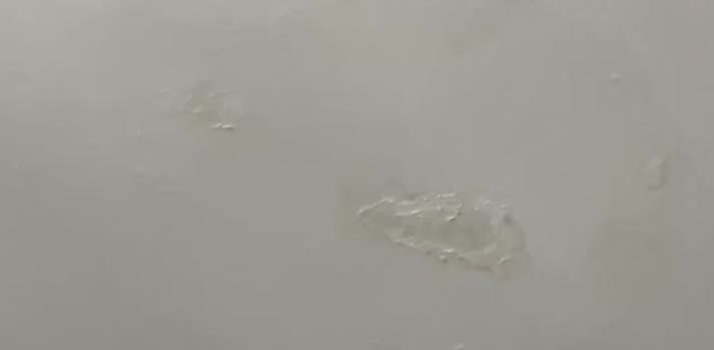 Tui Magic Life Belek Tatil Köyünde Sağlıksız Koşullar Ve Oda Sorunları ...