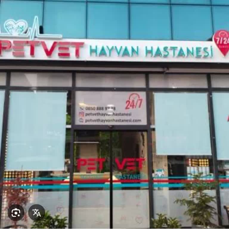 Petvet Hayvan Hastanesi (Maltepe) Yanlış Tedavi Ve Eksik Hizmet Nedeniyle Büyük Hayal Kırıklığı ...