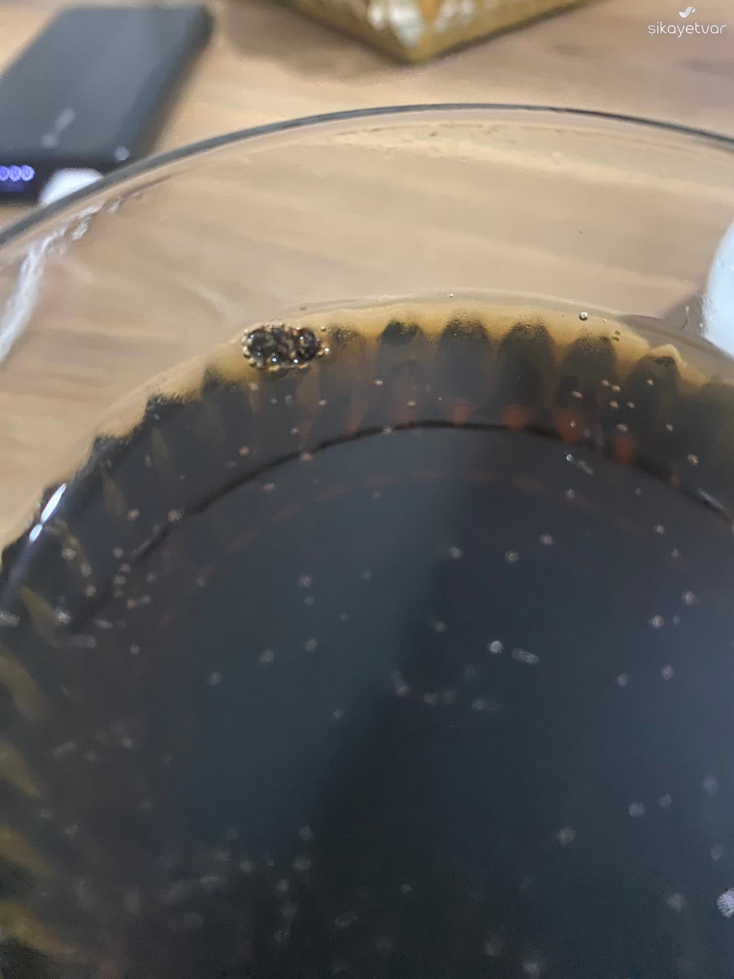 Coca-Cola Şişesinden Böcek Çıkması Hayal Kırıklığı Yarattı - Şikayetvar