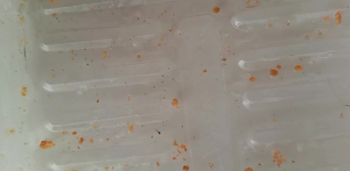 Keskinoğlu Piliç Schnitzel Paketinde Yabancı Madde Şoku - Şikayetvar