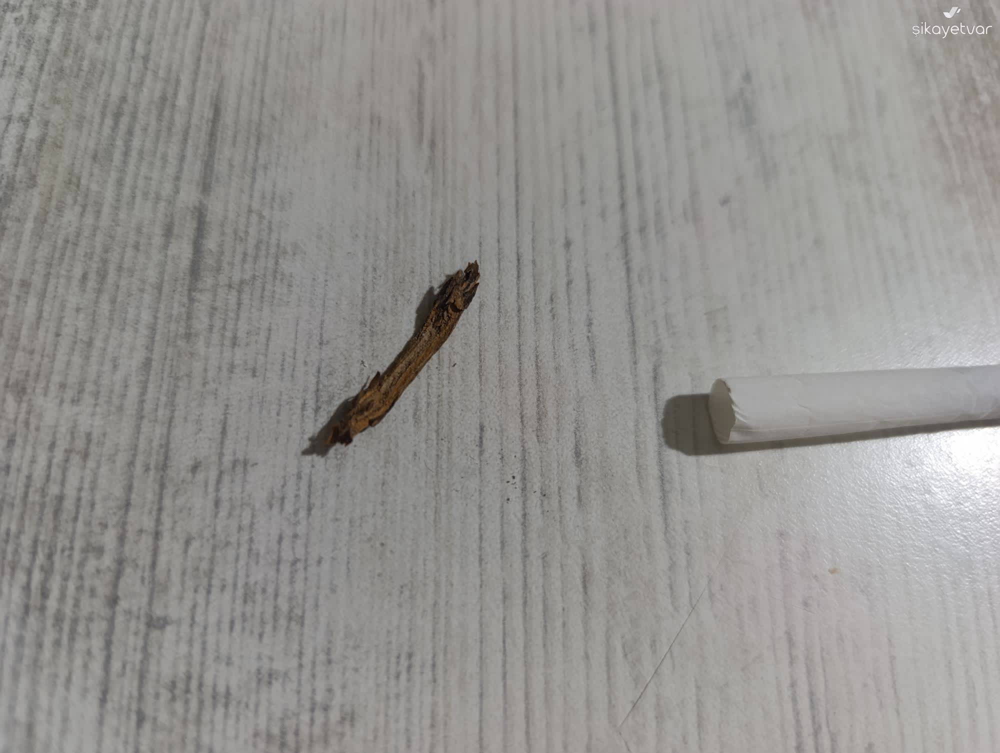 JTI Winston Slender Blue Sigaralarda Uzun Tahtamsı Parça Sorunu ...