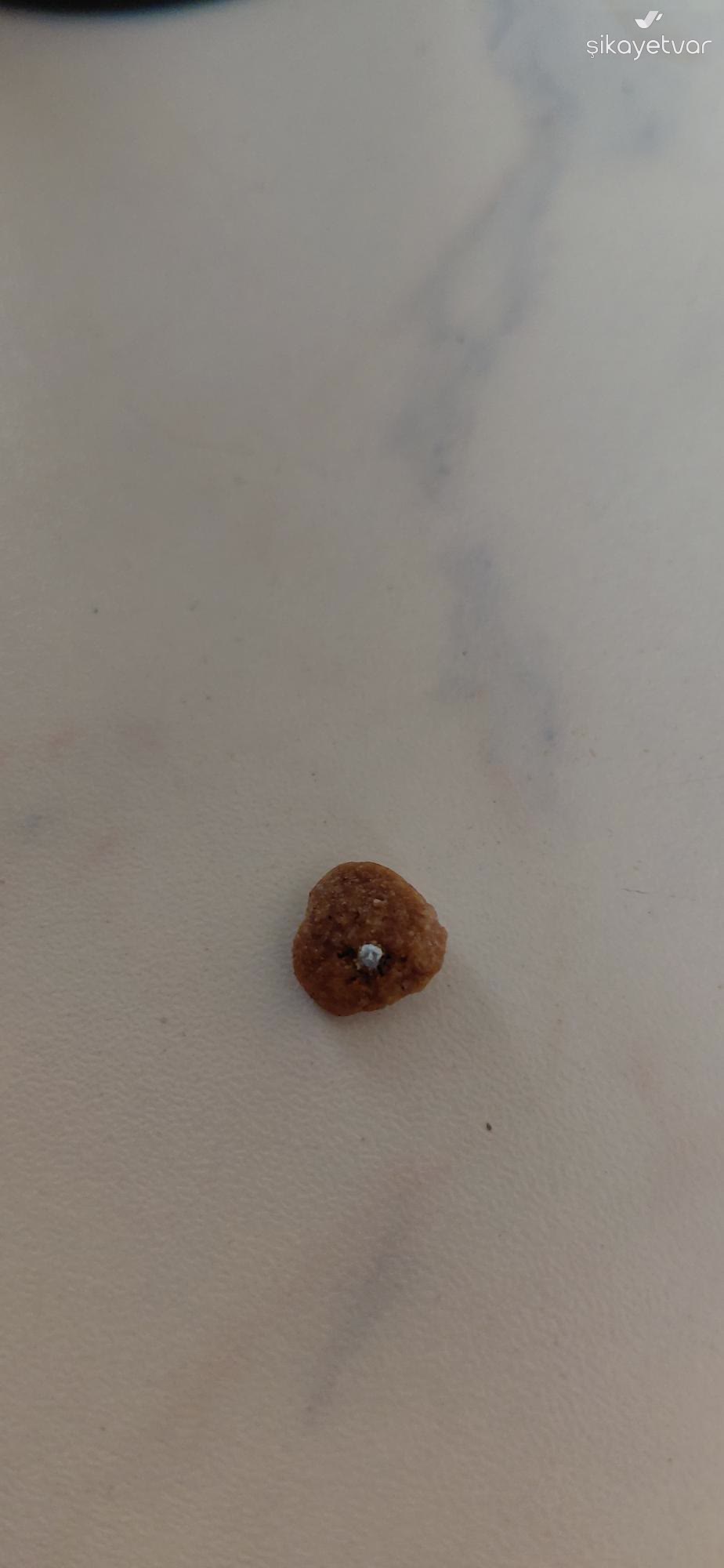 Cango Mama Kedi Mamasında Metal Parça Şoku! - Şikayetvar