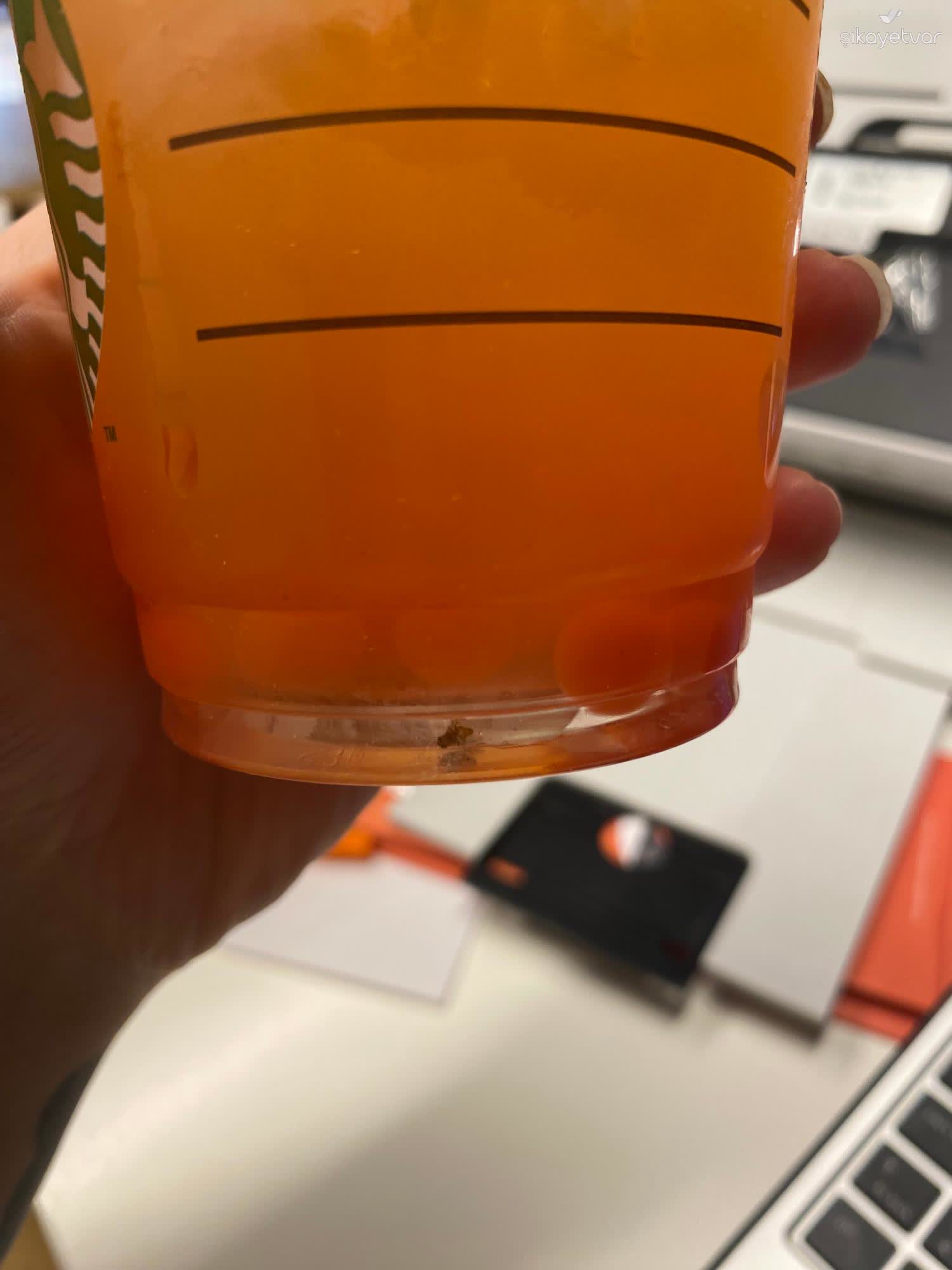 Starbucks Coffee Encontré un insecto en mi bebida de Starbucks, falta ...
