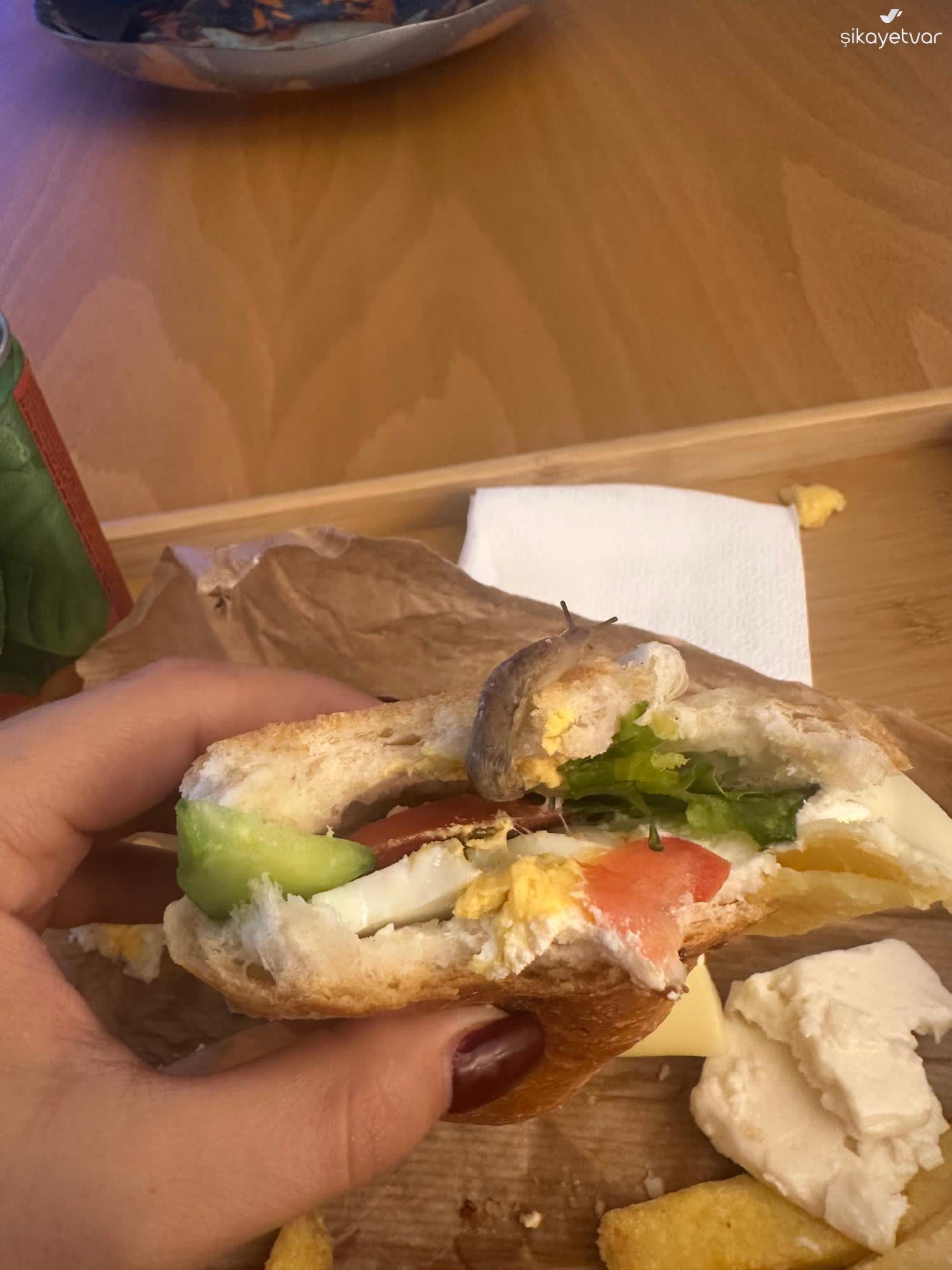 Cemwich Sandviçi Yerken İçinde Canlı Ve Oldukça Büyük Bir Sümüklü Böcek ...