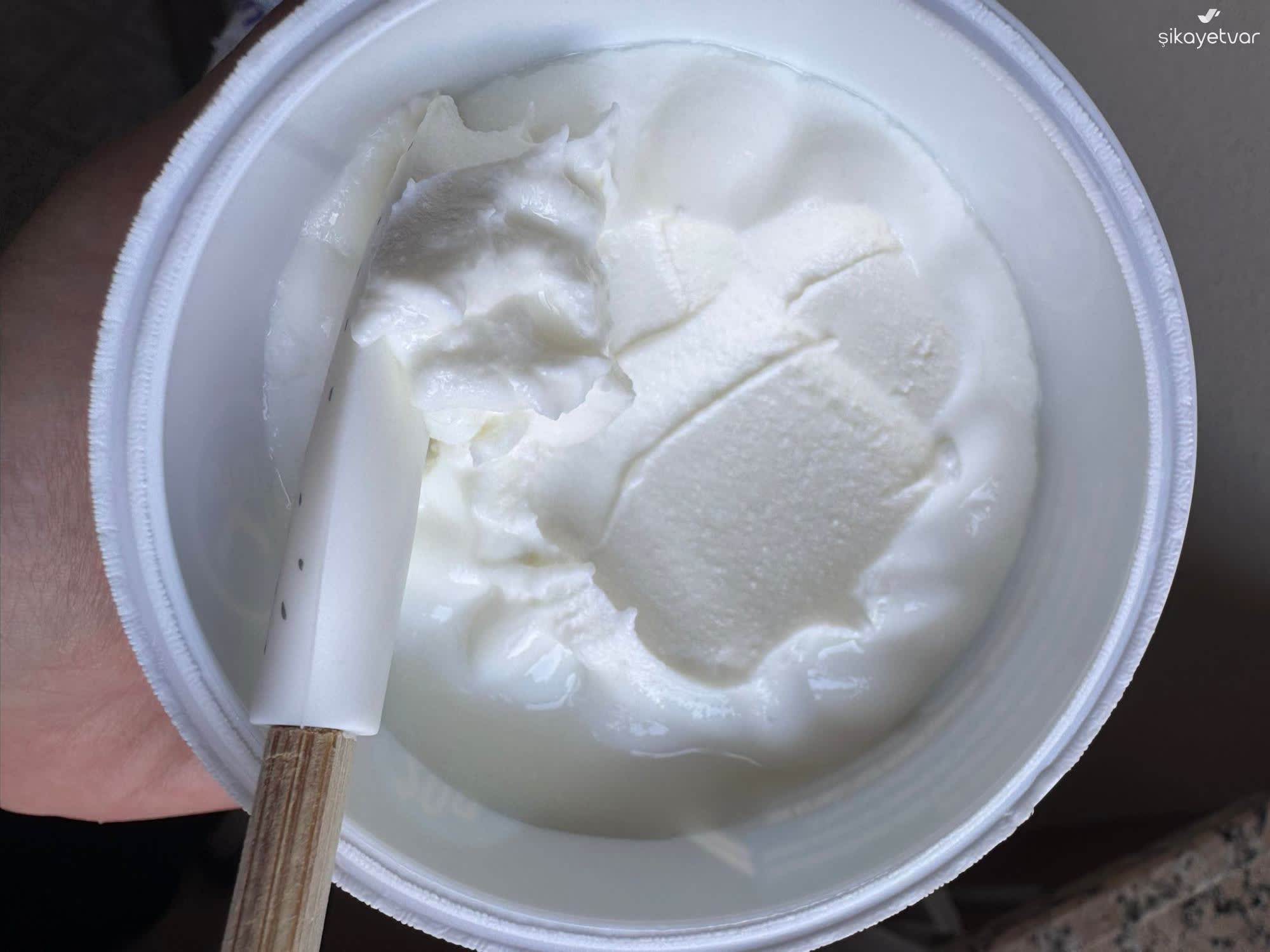 Çözüldü: Sek Süt Bozuk Sek Quark Protein Ürünleri Ve Çözüm Eksikliği ...