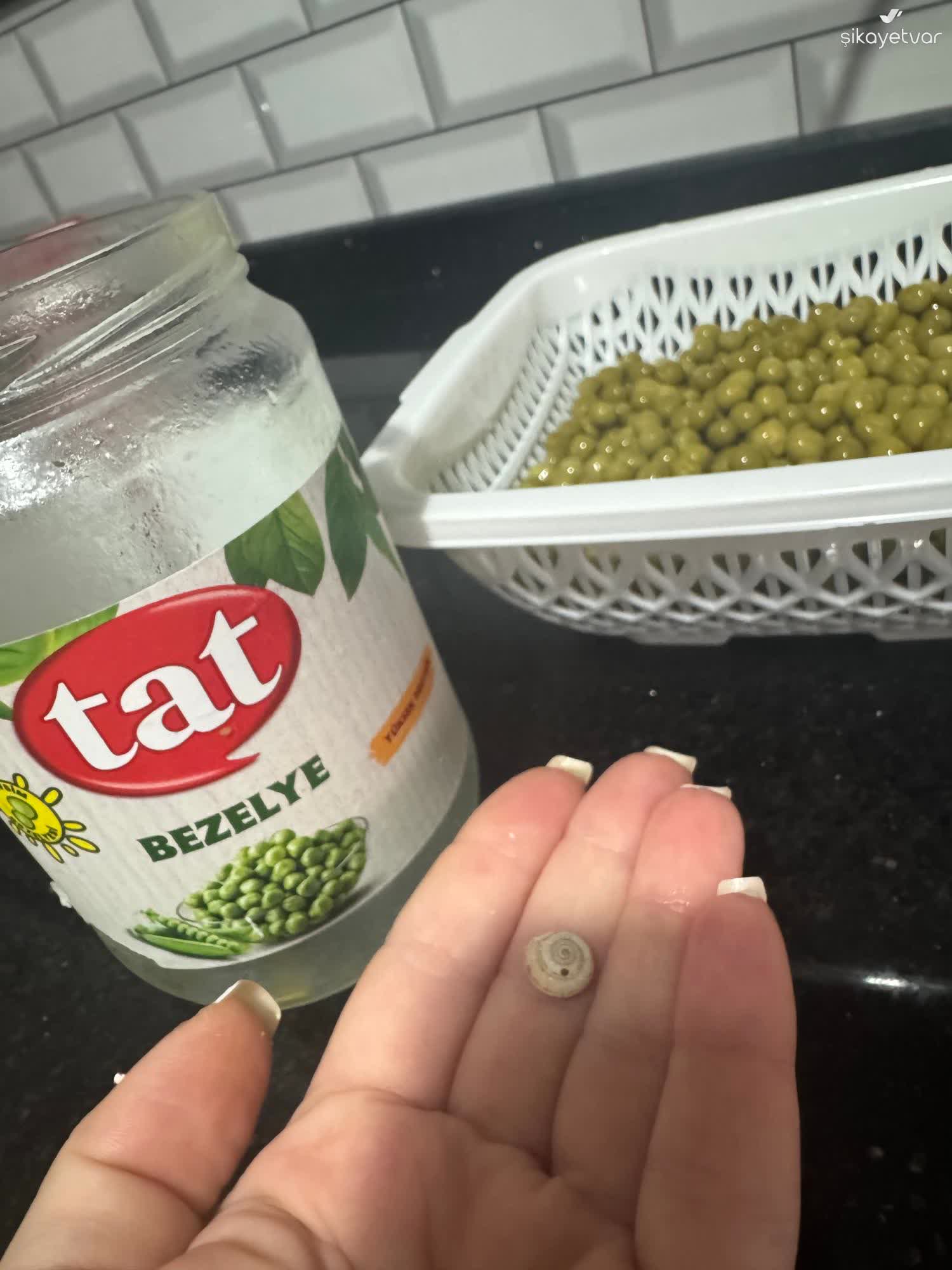 Tat Gıda Konserve Bezelyeden Salyangoz Kabuğu Çıktı: Gıda Güvenliği ...