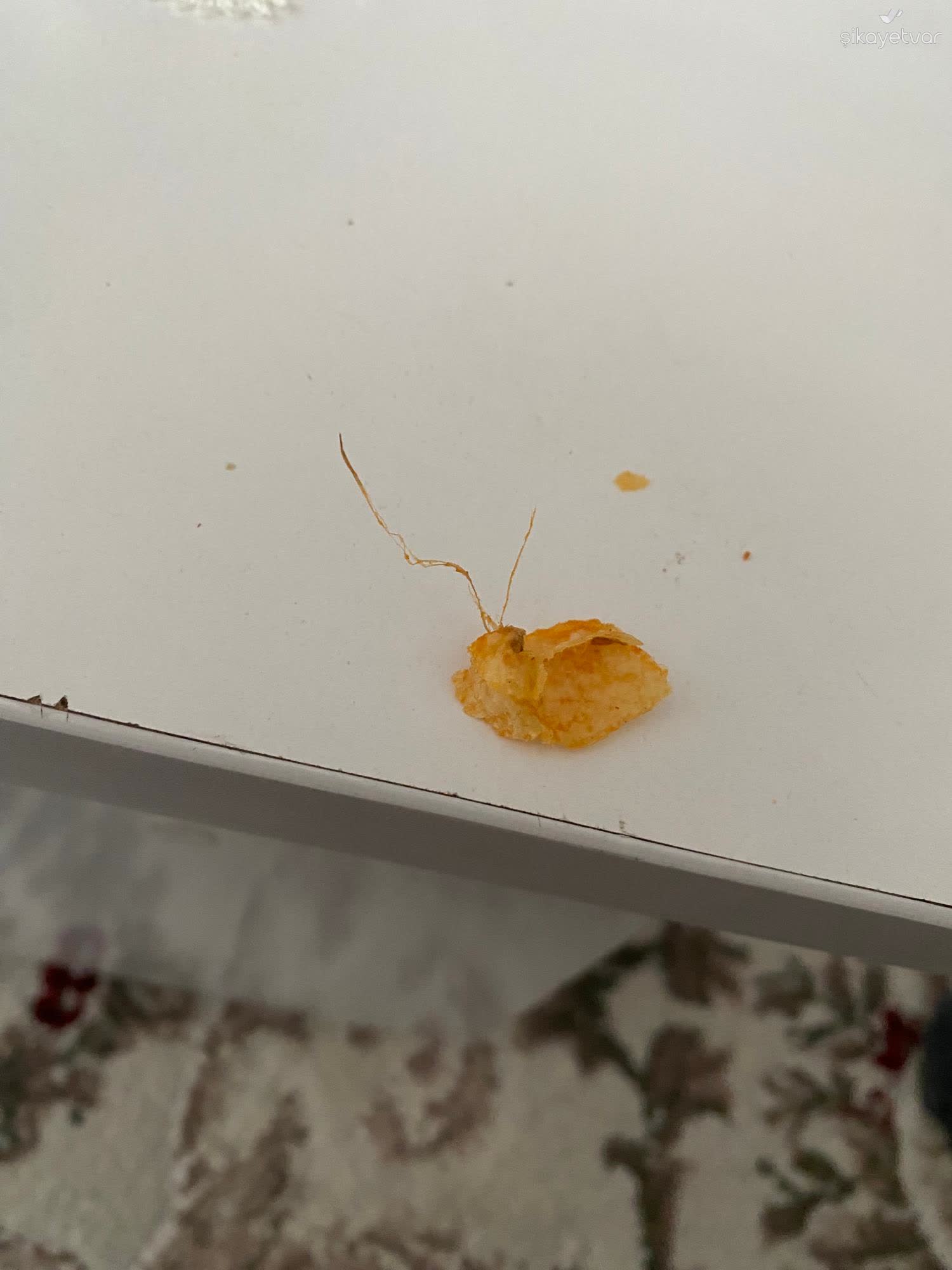 BİM Patito Cipsten Çıkan Kıl - Şikayetvar