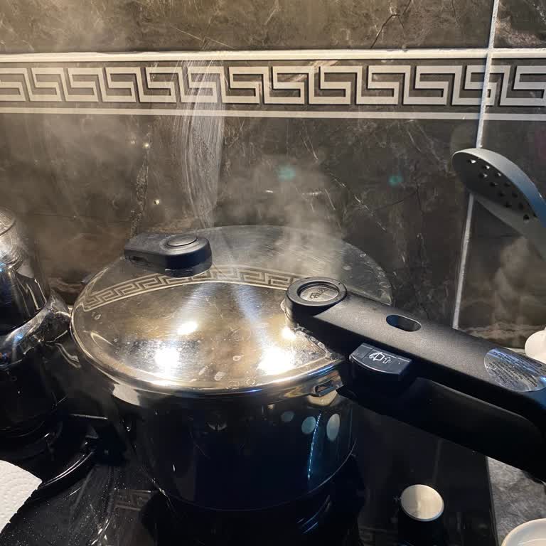 Fissler Vitavit Edition 4.5 Litre - Şikayetvar