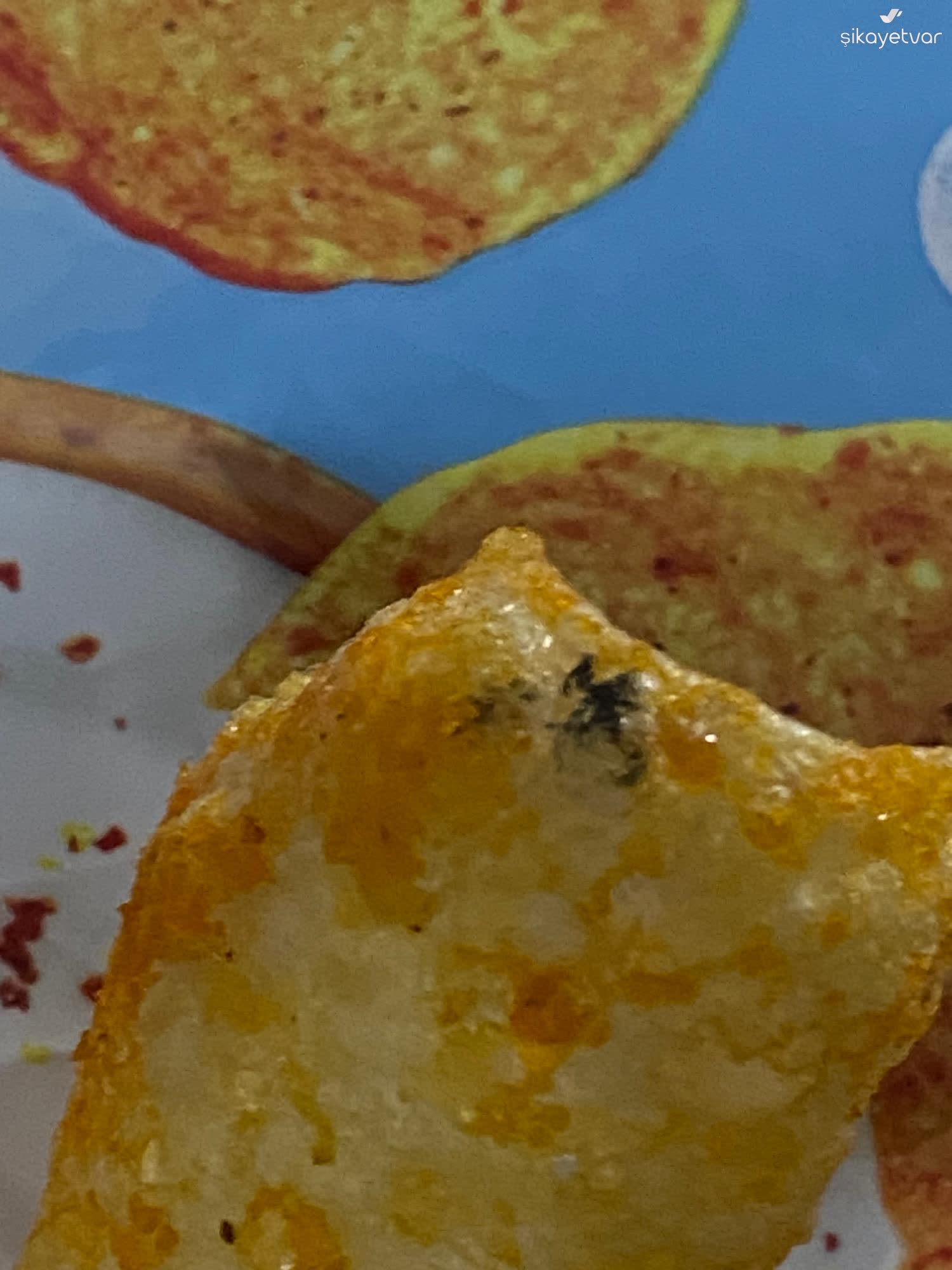 BİM Patito Cipsinde Böcek Bulunması Hijyen Ve Sağlık Endişesi İade ...