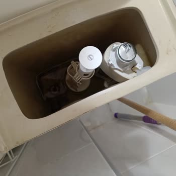 Allianz Sigorta'dan Klozet Değişimi Ve Derz Tamiratı İçin Avans ...