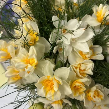 Taze Çiçek | tazecicek.com Teslimat Gecikmesi Ve Solmuş Çiçek Nedeniyle ...