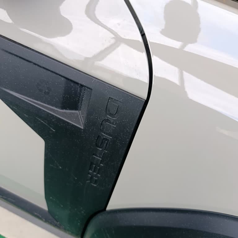 Renault Duster Sakarya Şikayetleri - Şikayetvar