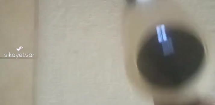 Electrolux Hygenic 800 Süpürgemiz Süpürmüyor! - Şikayetvar