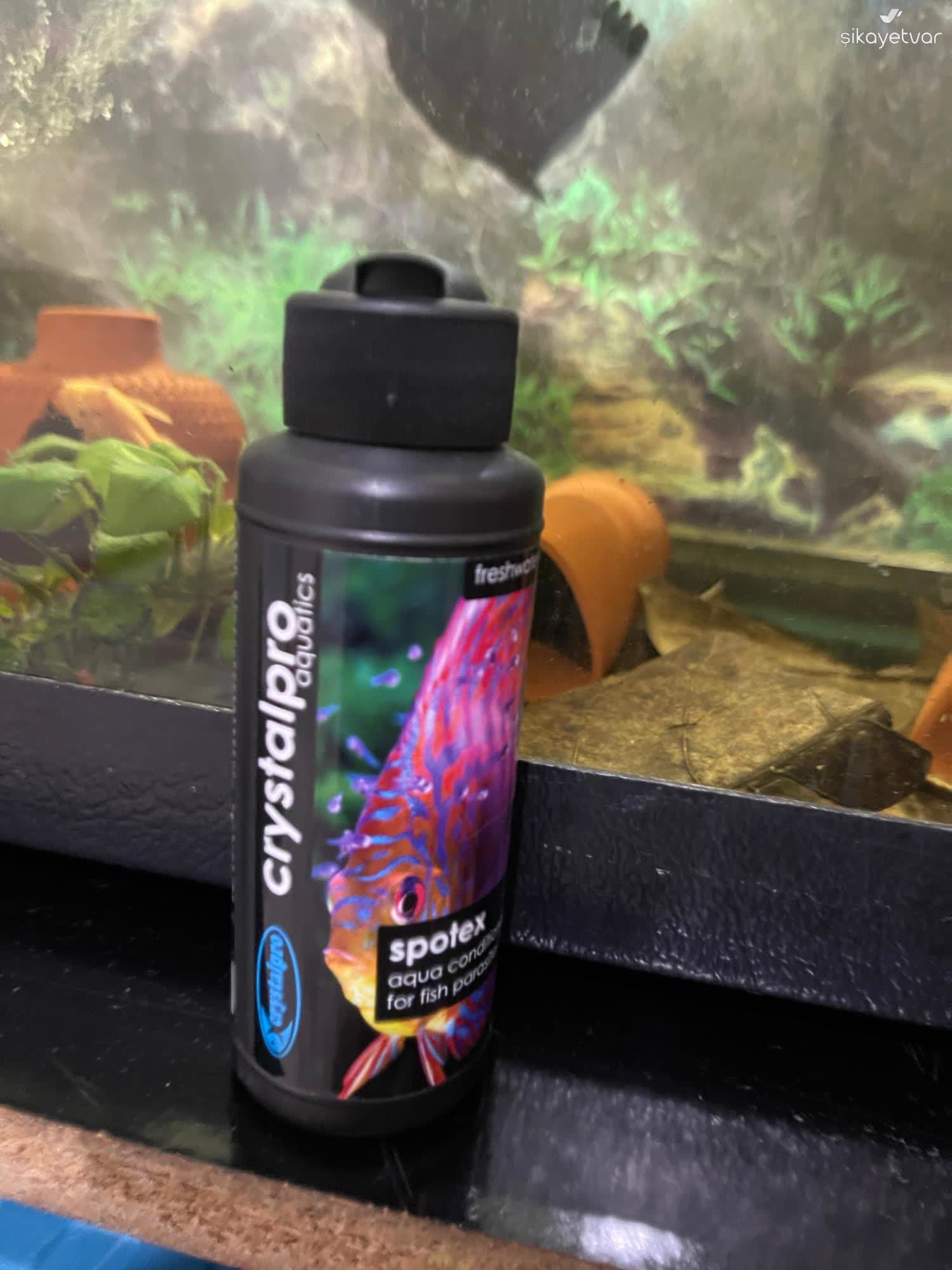 Crystalpro Aquatics Crystalpro Beyaz Benek İlacı Vatoz Balıklarımda ...