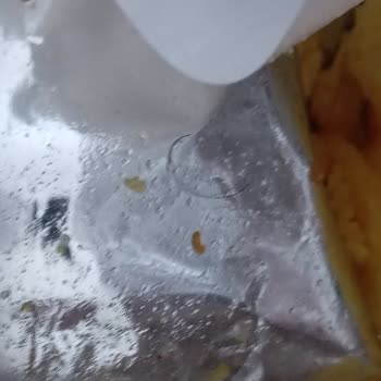 Ruffles Cips Paketi İçinde Kıl Tespiti Ve Hijyen Endişesi - Şikayetvar